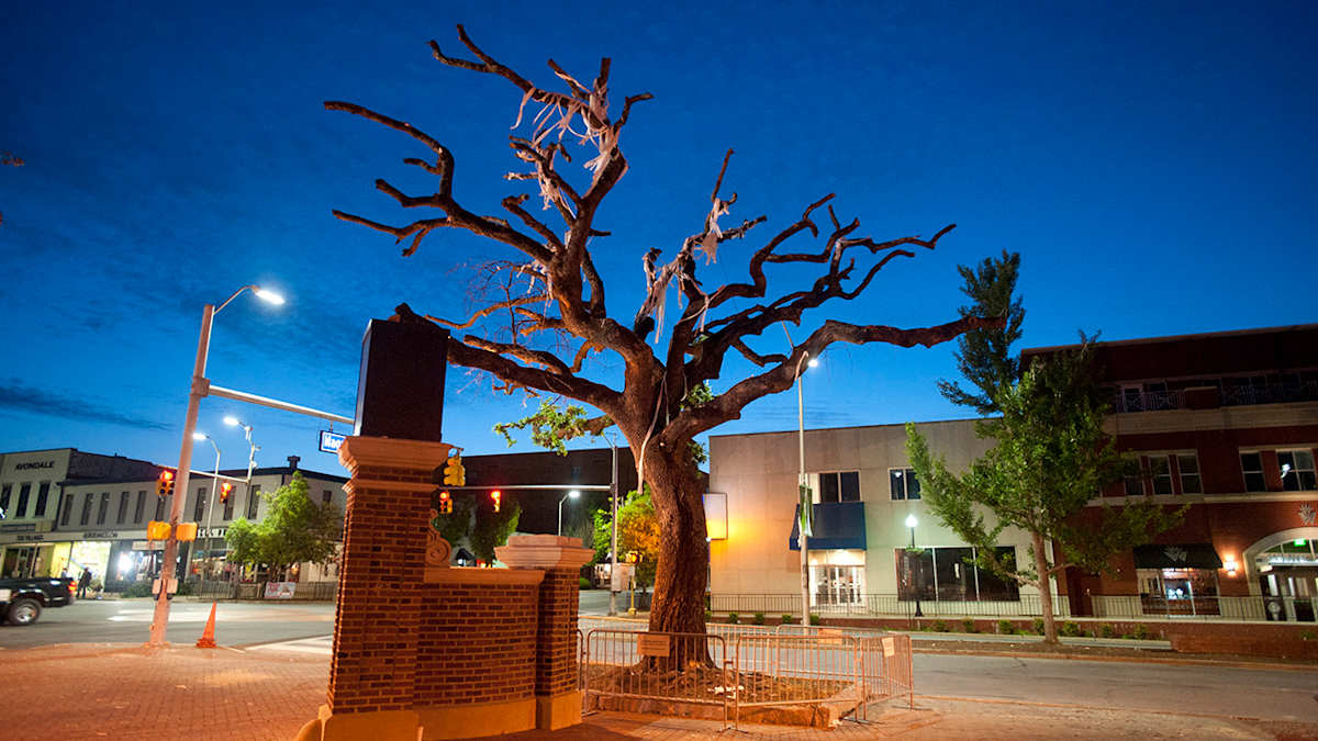 The History Between Toomer's Oaks