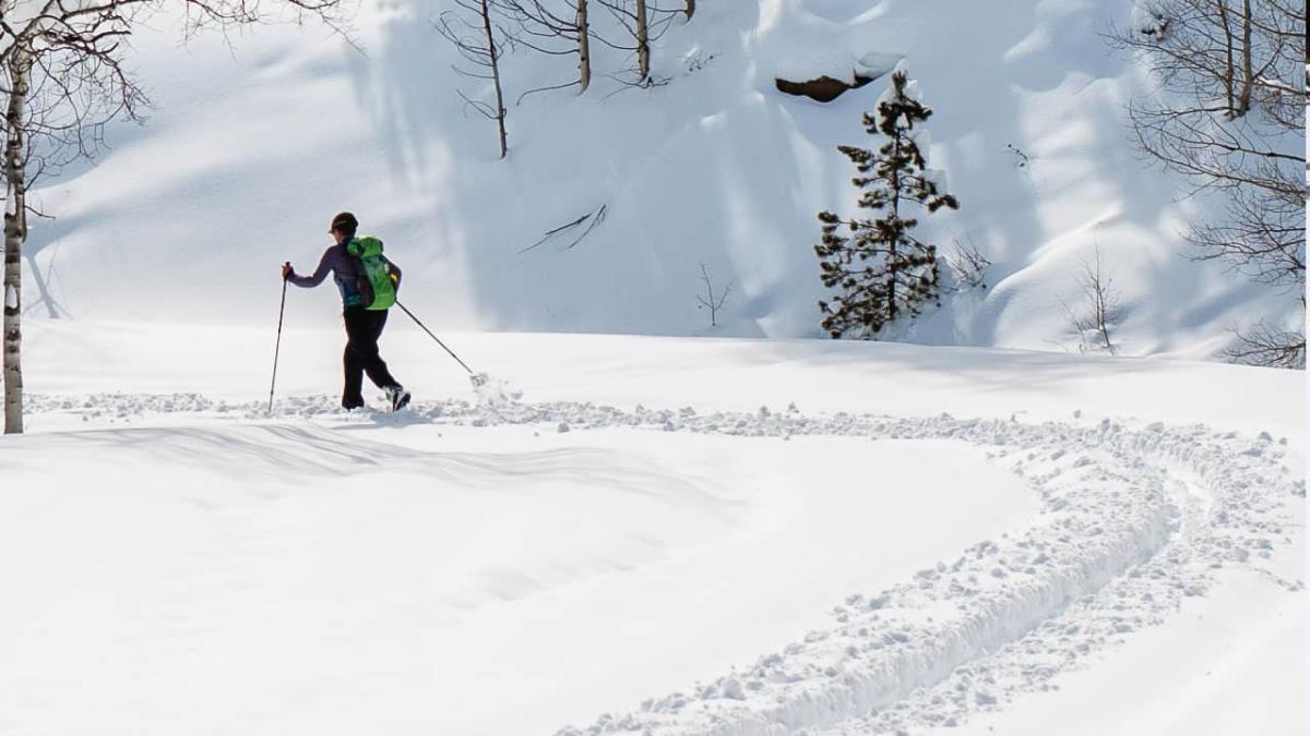 Silver Creek - Buena Vista & Salida, Colorado Vacation