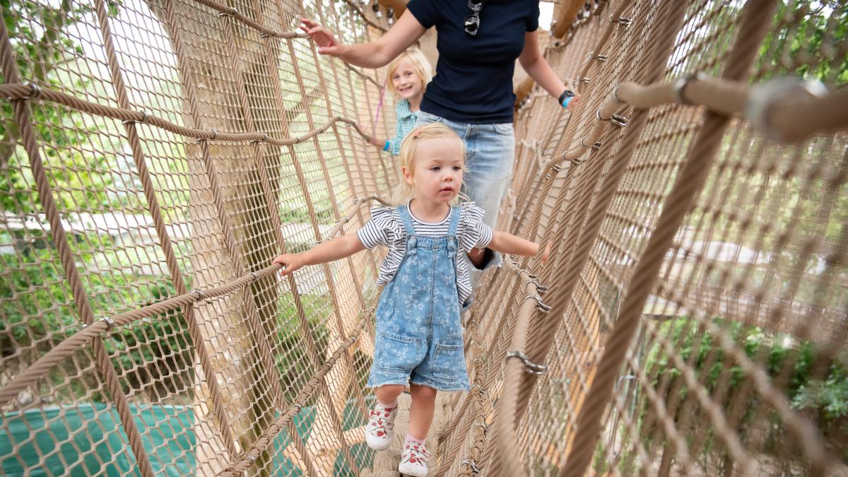 Families flock to Birdworld as new Treetop Adventures takes flight with ...