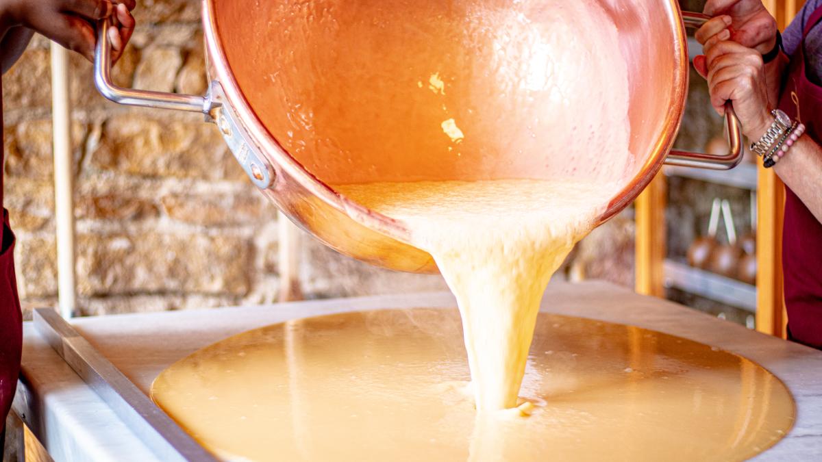 Hazel Hill Wins Three Bronze Medals for Small Batch Dark Chocolate