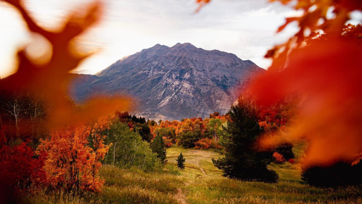 45 Free Halloween Activities in Utah