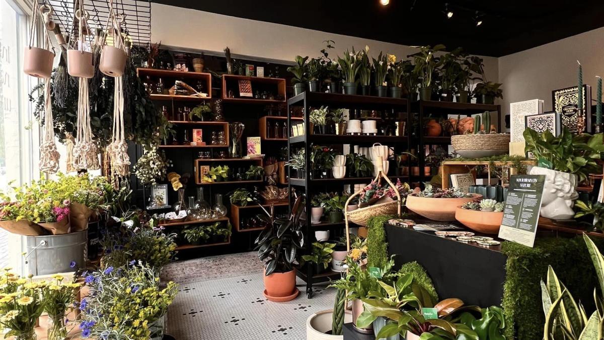 Blooming in Wichita: Top floral shops for every occasion | Florists in ...