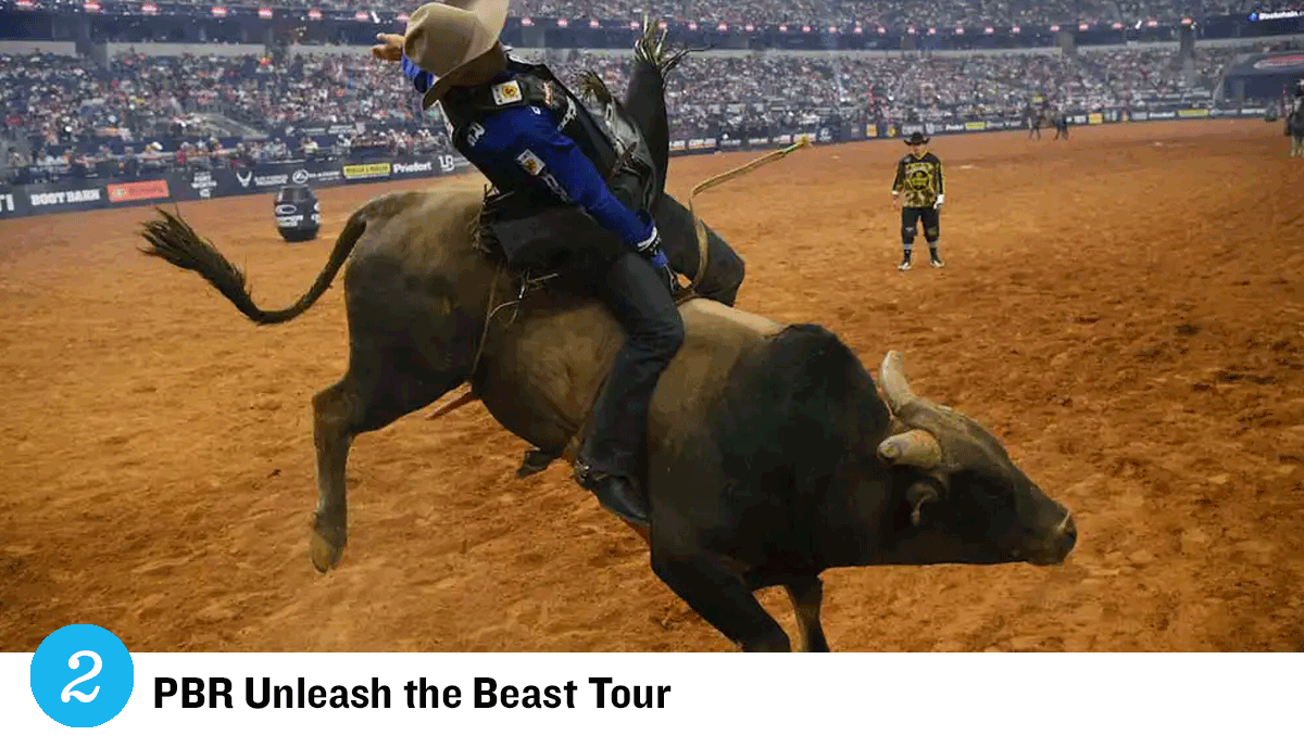 Top Five Events This Weekend in Indianapolis