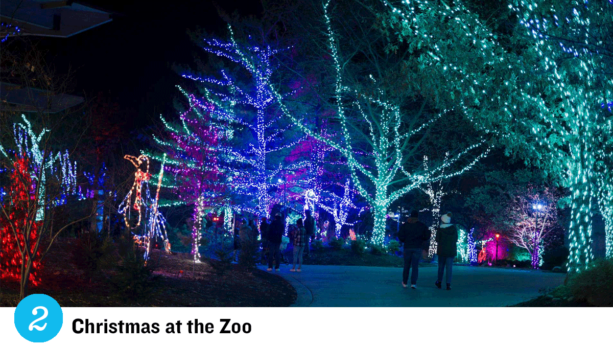 Top Five Events This Weekend in Indianapolis