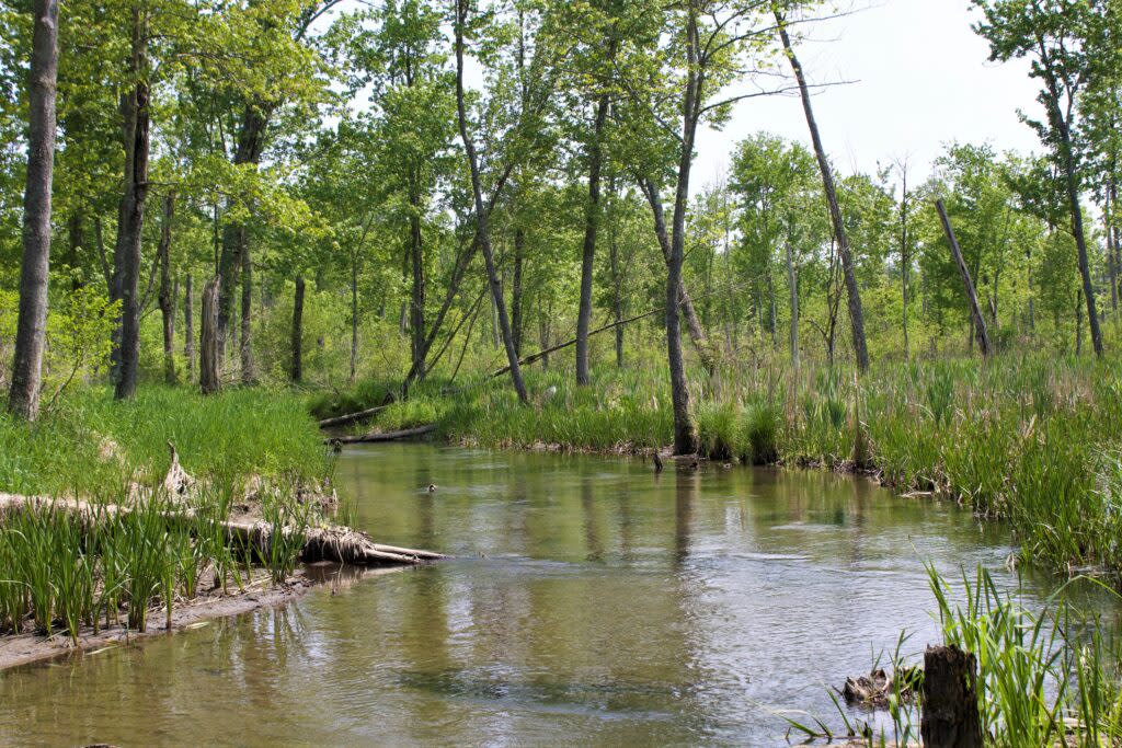 Fishing Focus: Come and Get 'Em!