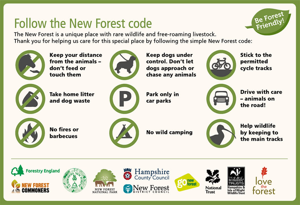 Caring for the Forest - Visit the New Forest