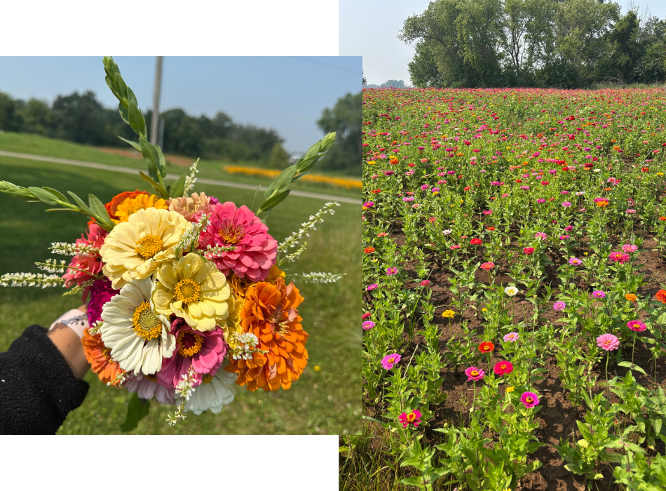 Pick Your Own Bouquet with Bloomtique Flower Farm