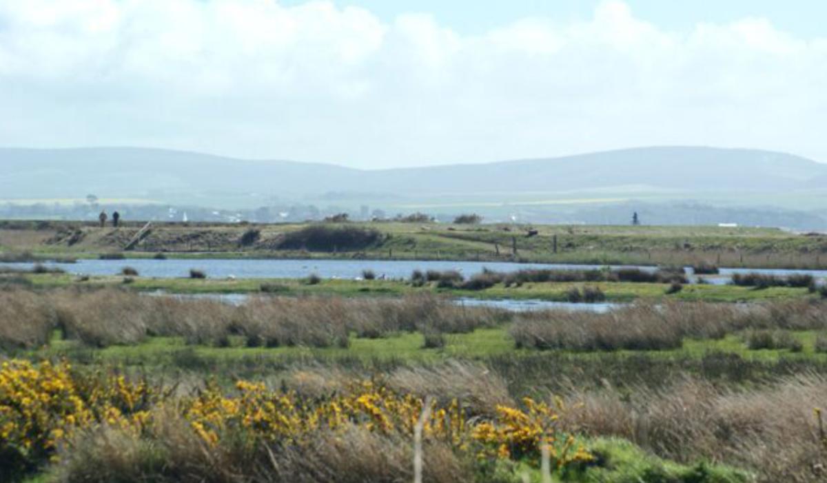 Hidden Corners of the New Forest