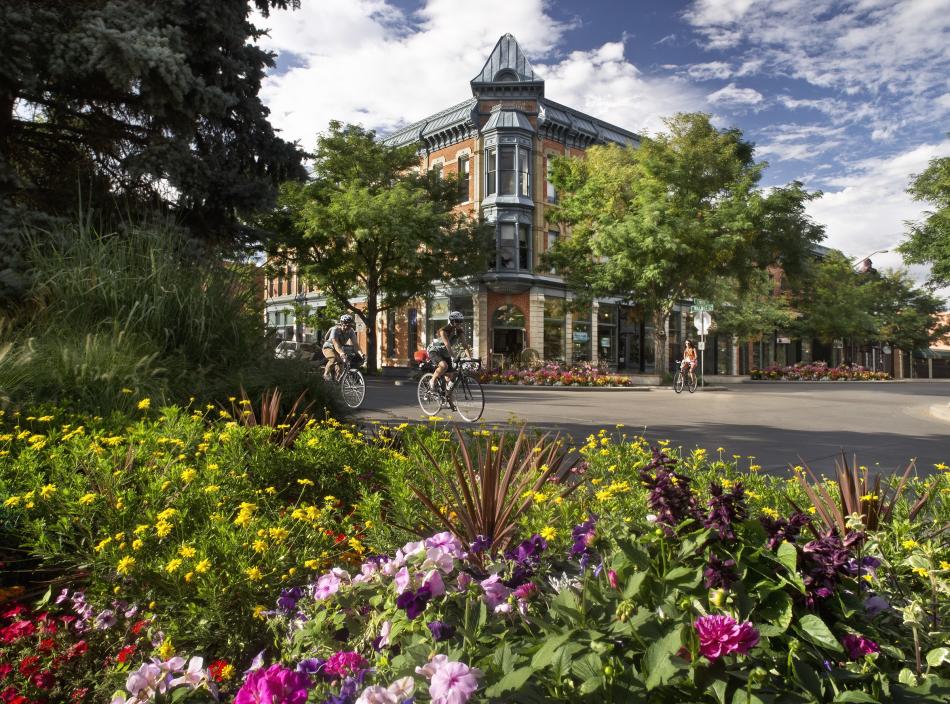 Best Activities to Enjoy During Spring Break in Fort Collins