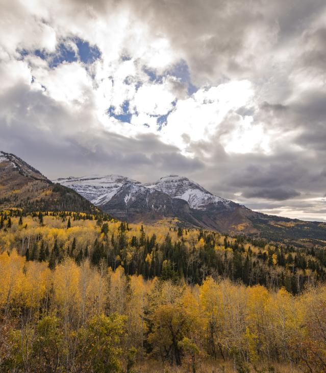 Downtown Payson | Explore Utah Valley