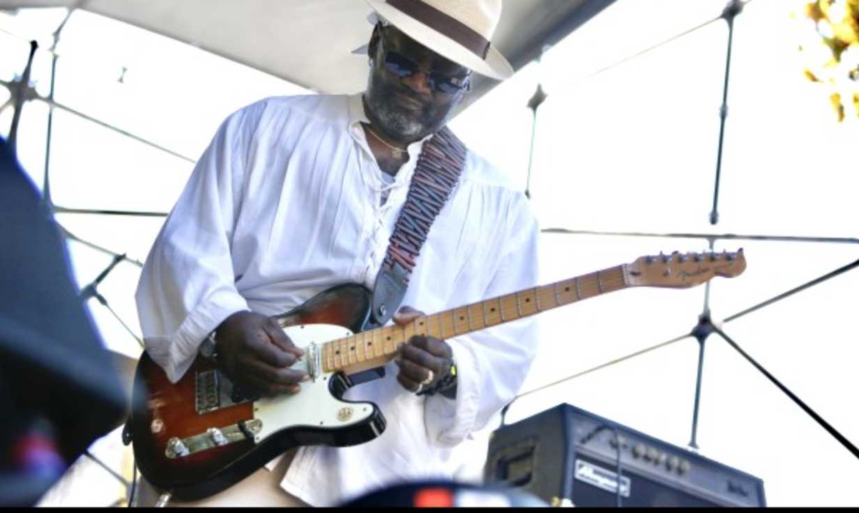 Ed Wills Blues 4 Sale