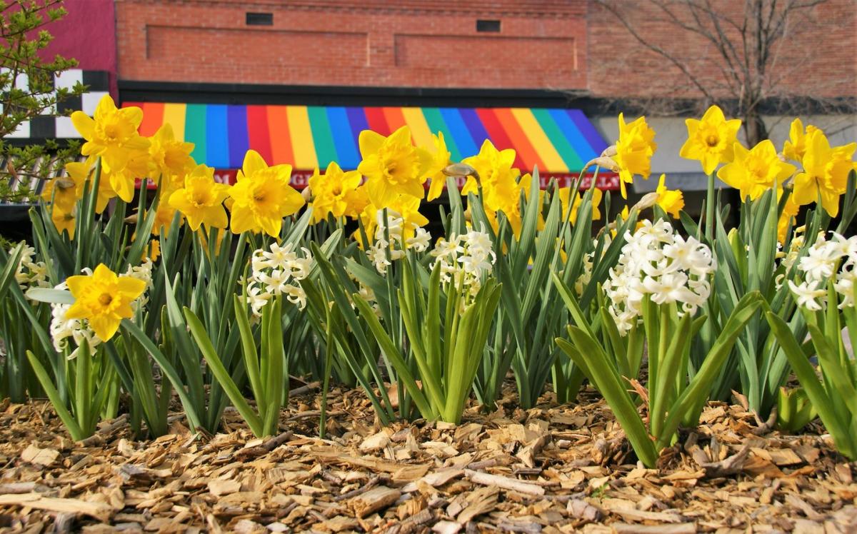 Keeping Grand Junction Beautiful