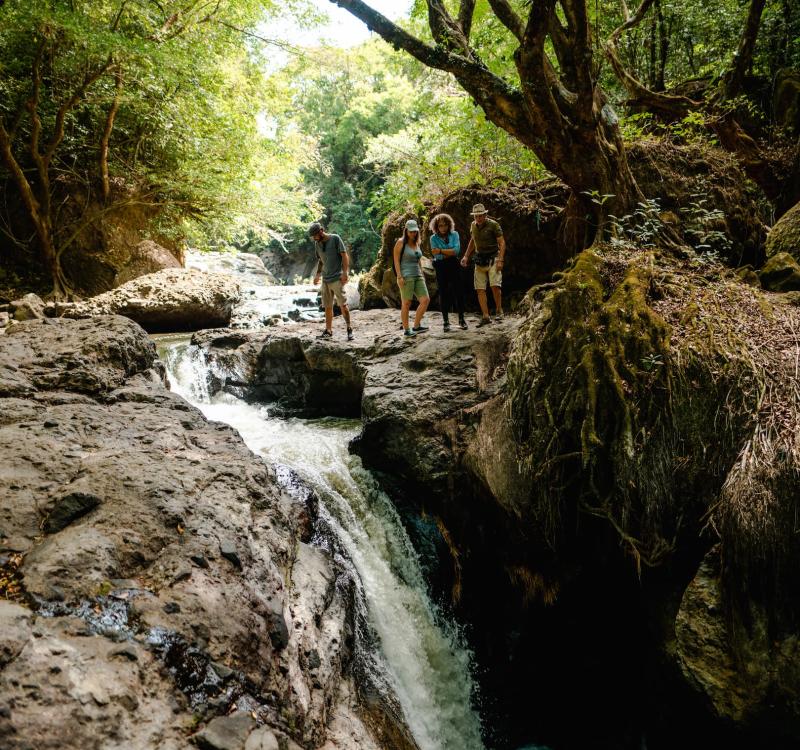 4 Días en El Valle de Antón, Panama | Naturaleza y Aventura