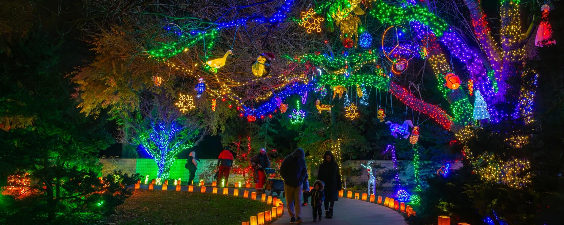 Botanical Gardens Phoenix Christmas Lights | Fasci Garden