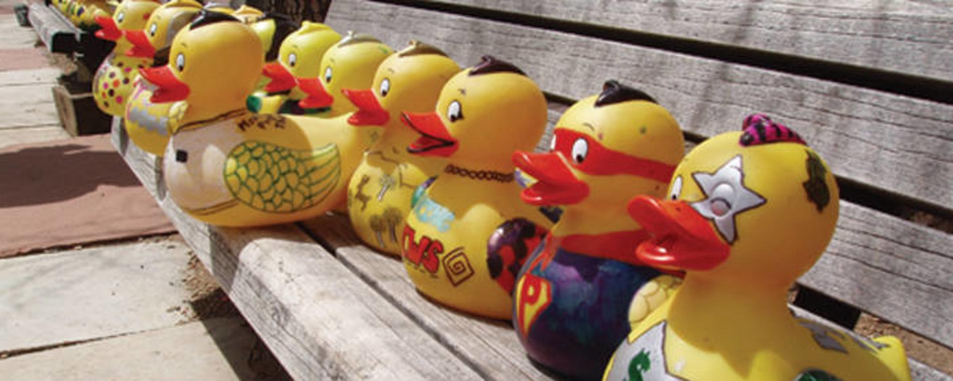 Estes Park Duck Race Festival