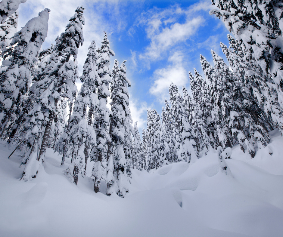 5 fun winter activities you haven't thought of for your trip to ...