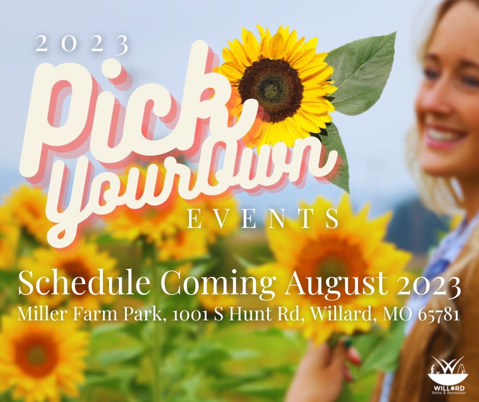 Sunflower Fields You Must Visit Near Springfield, Missouri ...