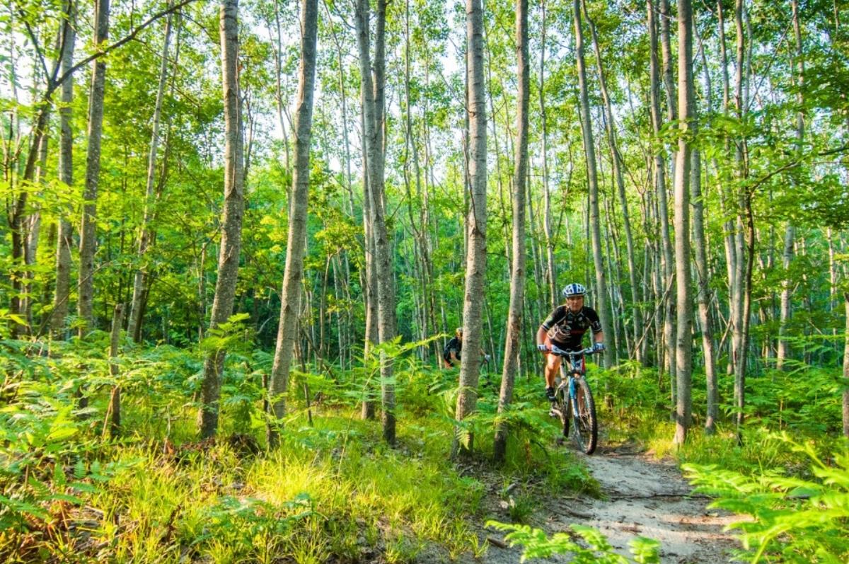 Pedal these top bike trail recommendations in Traverse City