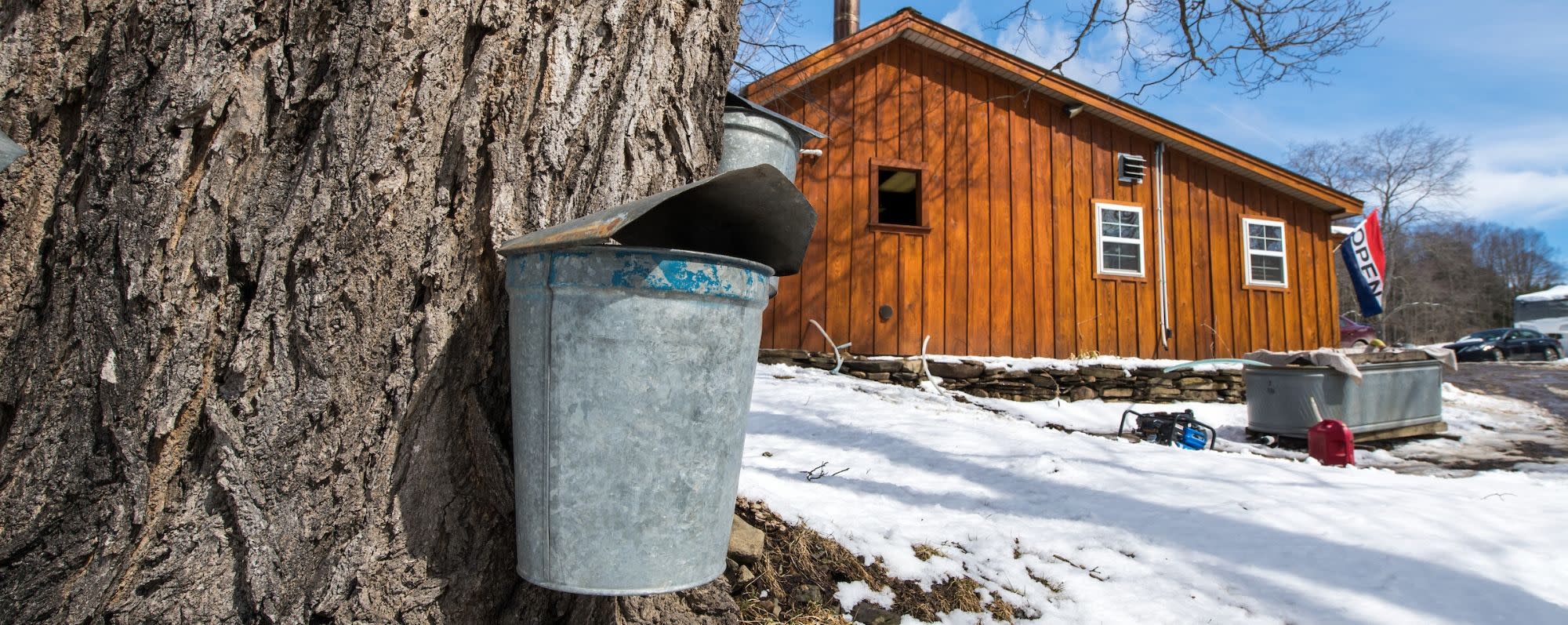 Maple Sugaring in New York | Adirondack Maple Farms