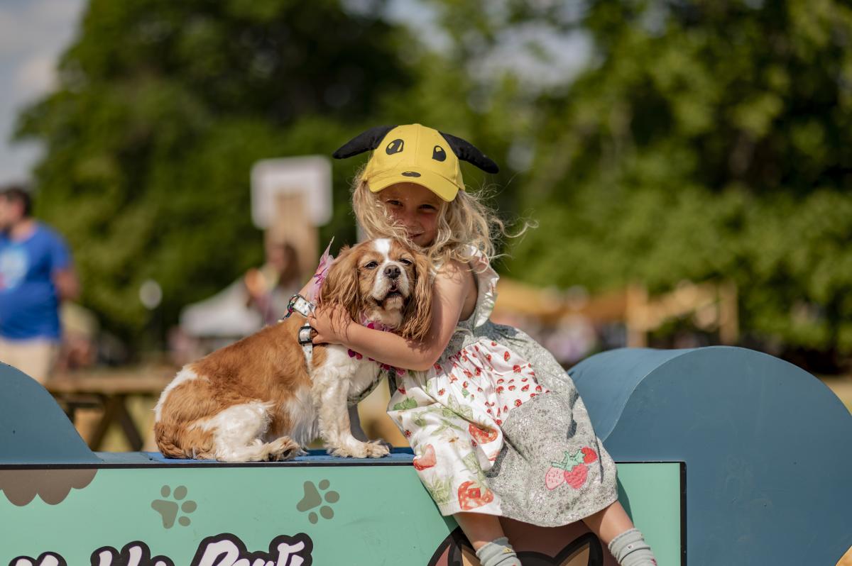 Top Summer Festivals and Events in the New Forest