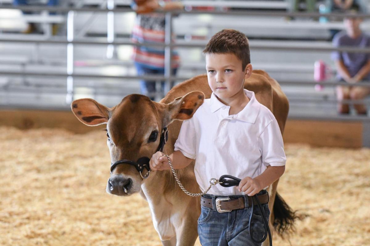 Bentonville AR Fall Visit Guide of Things to Do