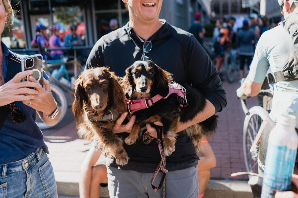 36 Hours in Bentonville this Fall