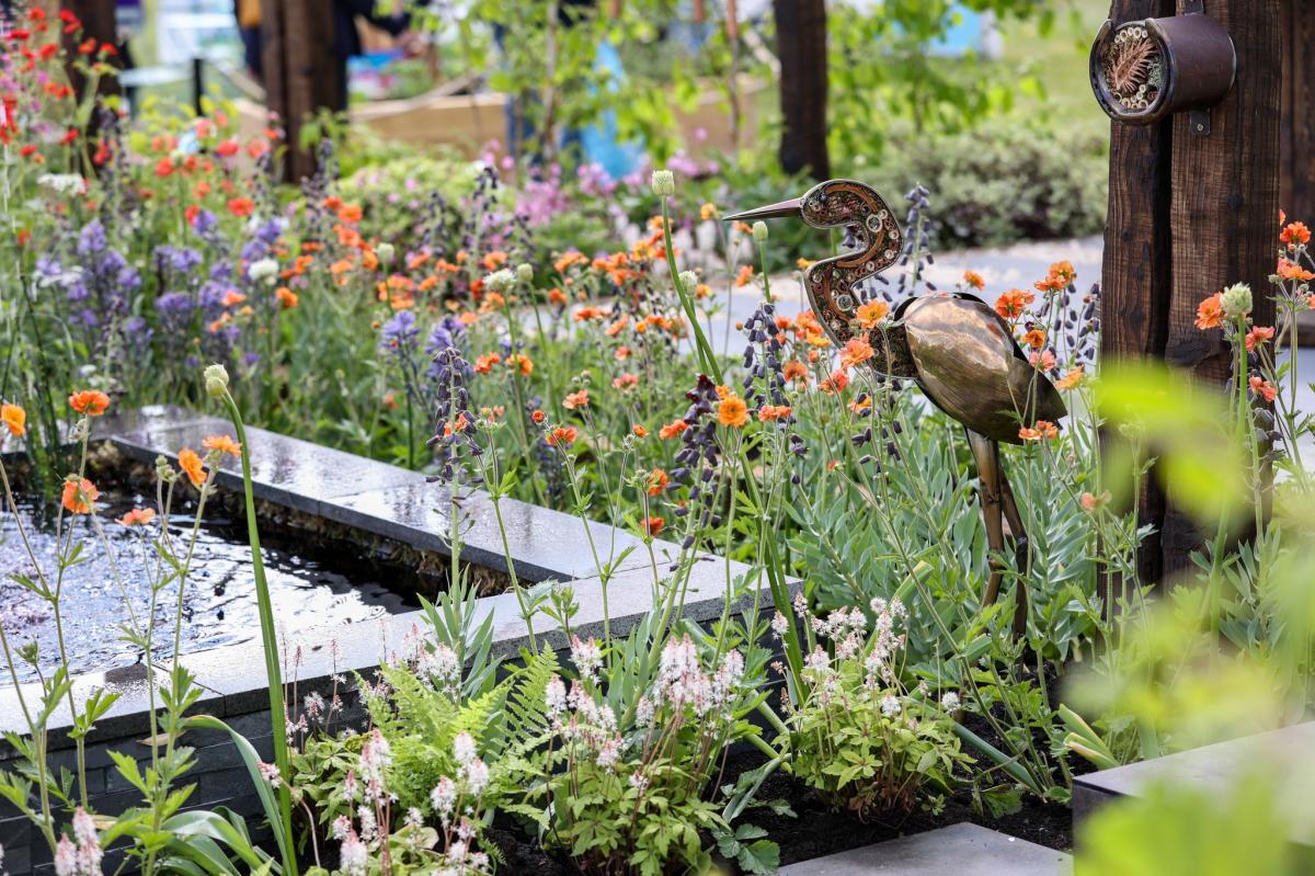 How best to spend spring in the New Forest