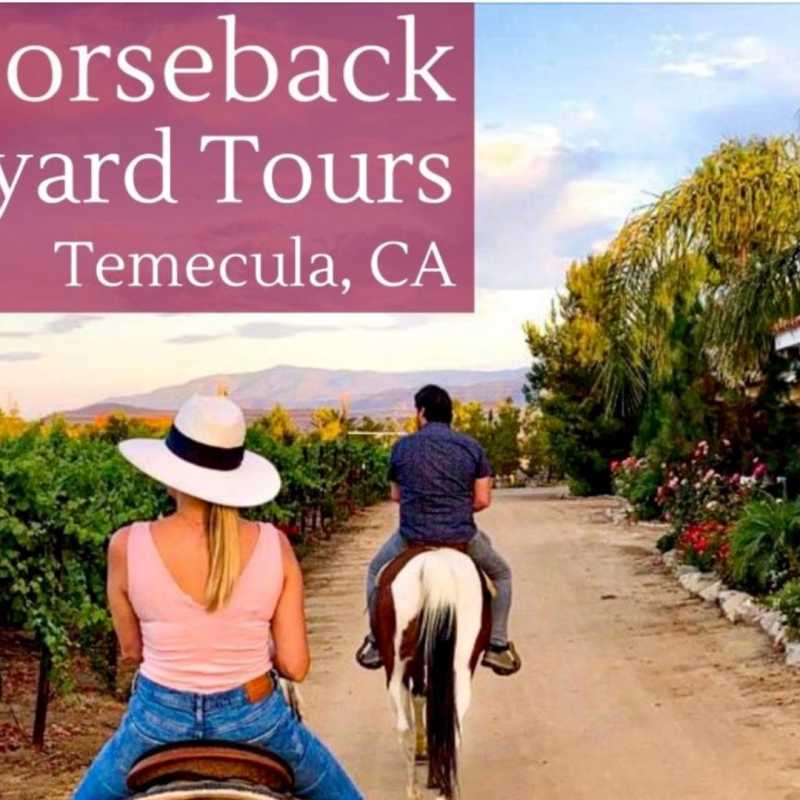 Wine Country Trails By Horseback, Inc. | Temecula, CA