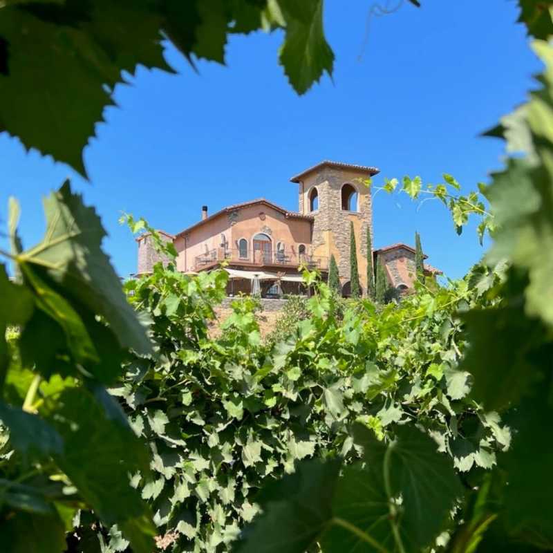 Robert Renzoni Vineyards & Winery | Temecula, CA