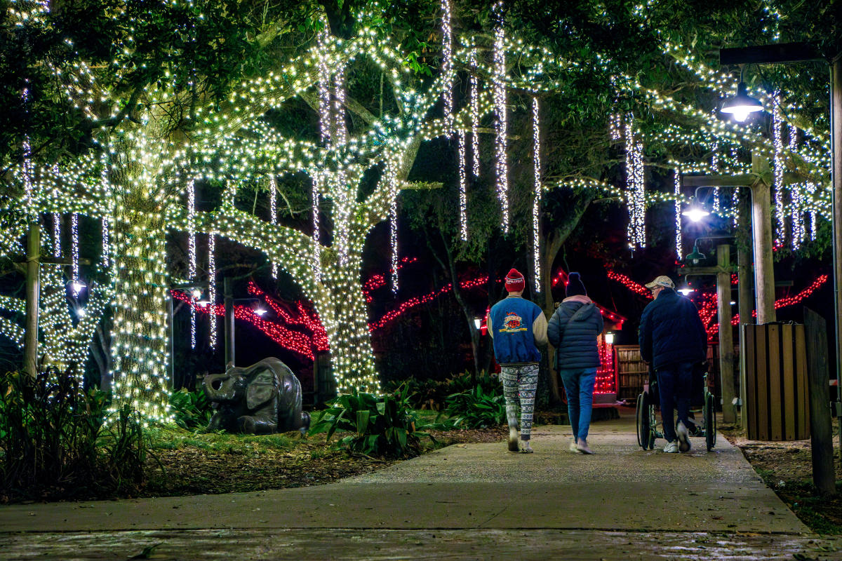 December Events & Things To Do in Baton Rouge | Shows & Festivals