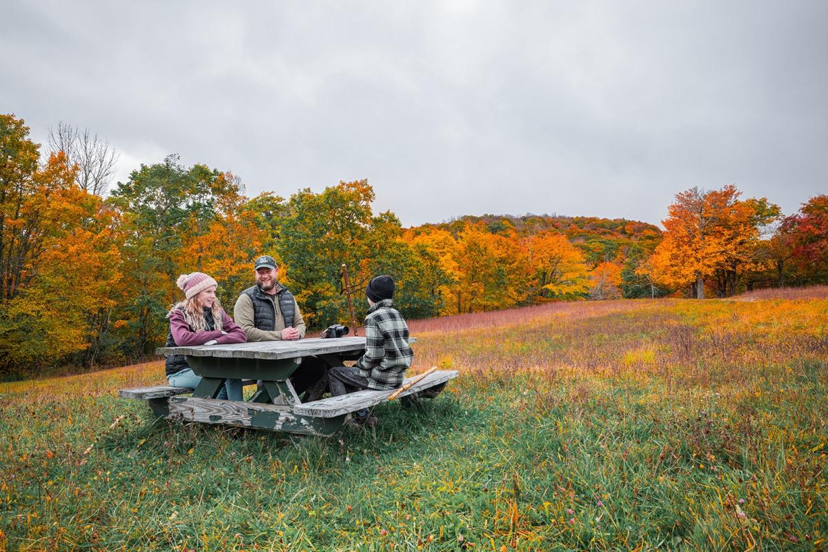 Boone's Fall Bucket List | Things to Do this Autumn in Boone, NC