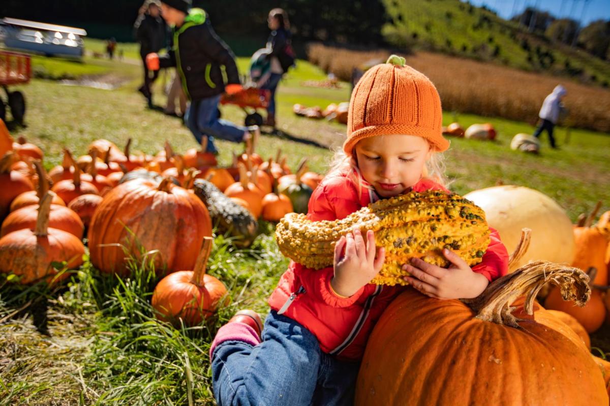 Boone's Fall Bucket List | Things to Do this Autumn in Boone, NC