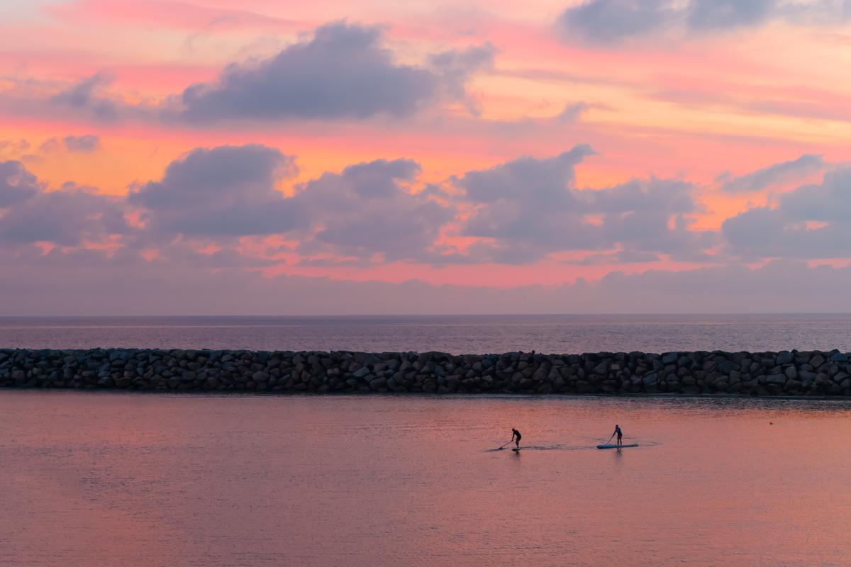 Dana Point Harbor is worth a visit!