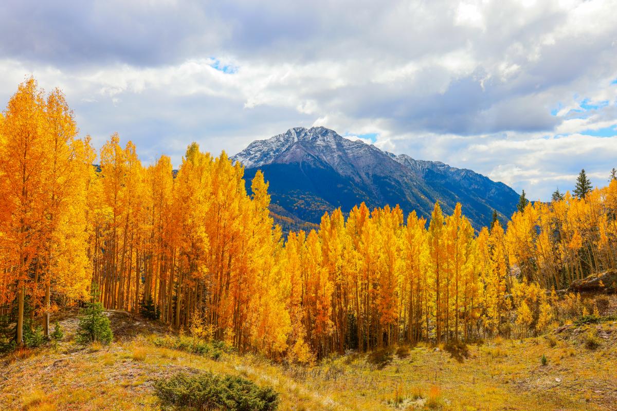 Fall Planning Guide in Durango | Visit Durango, CO | Official Tourism Site