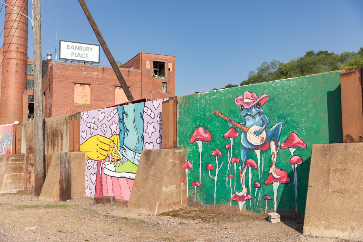 Discover the Best Murals in Eau Claire: A Street Art Guide