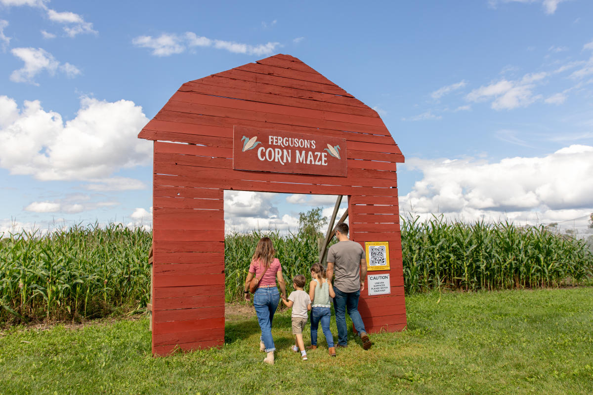 dog friendly corn mazes