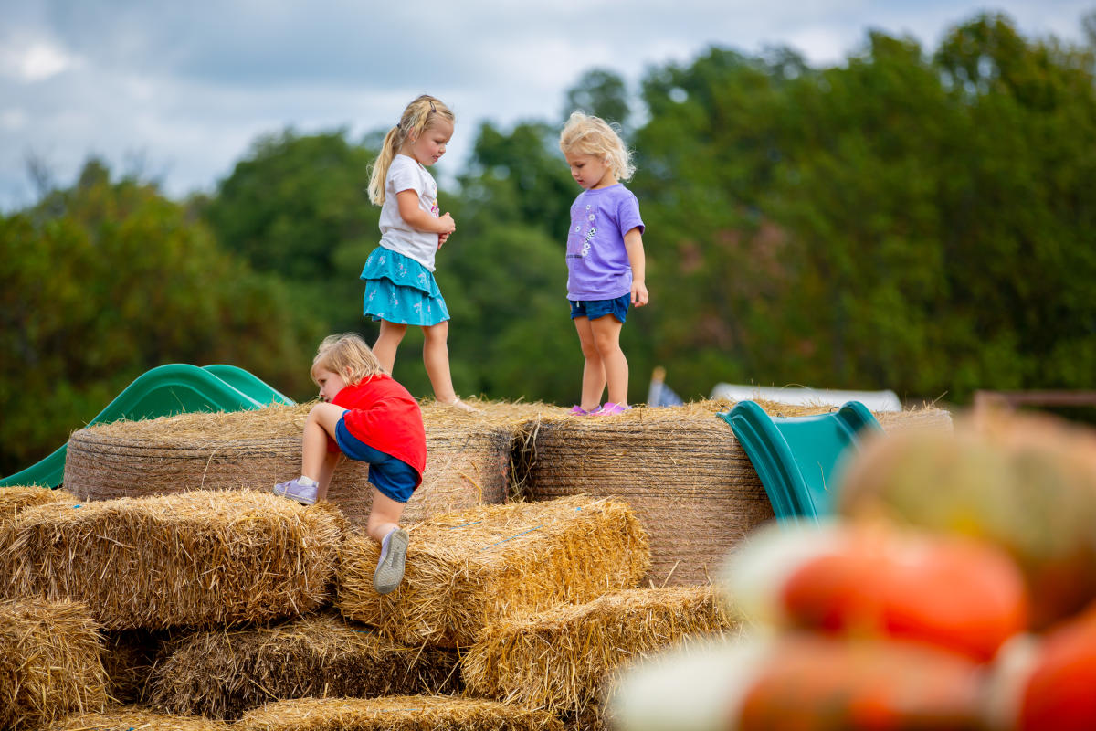 Where to Get a Pumpkin in Etown