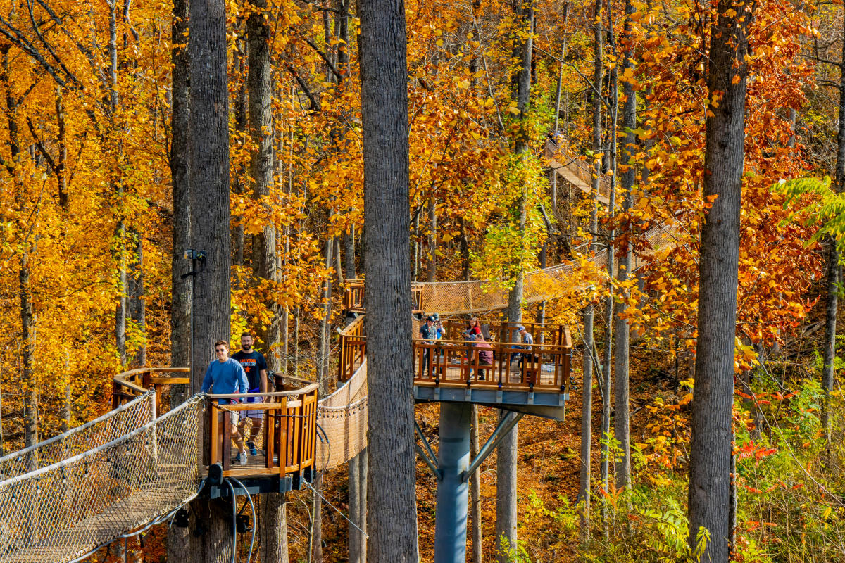 Best Fall Views in Gatlinburg + Where to Eat, Shop & Stay