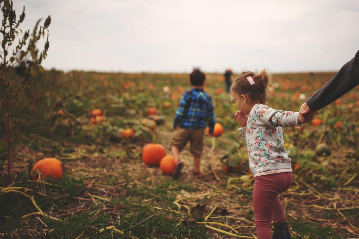 Fabulous Fall in Indiana - Discover Autumn's Beauty