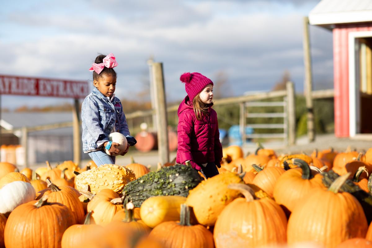 Roba Family Farms | Fall Farm Festivals