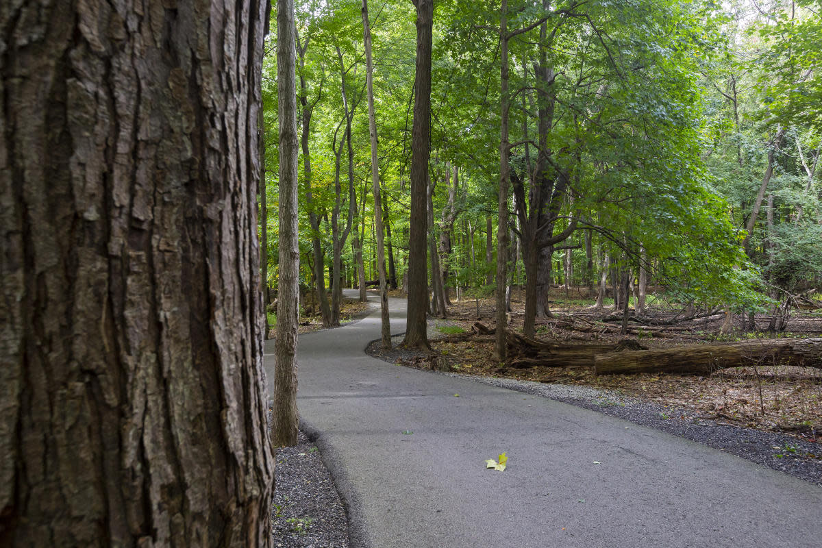 Your Guide to the Capital City River Run in Lansing, Michigan ...