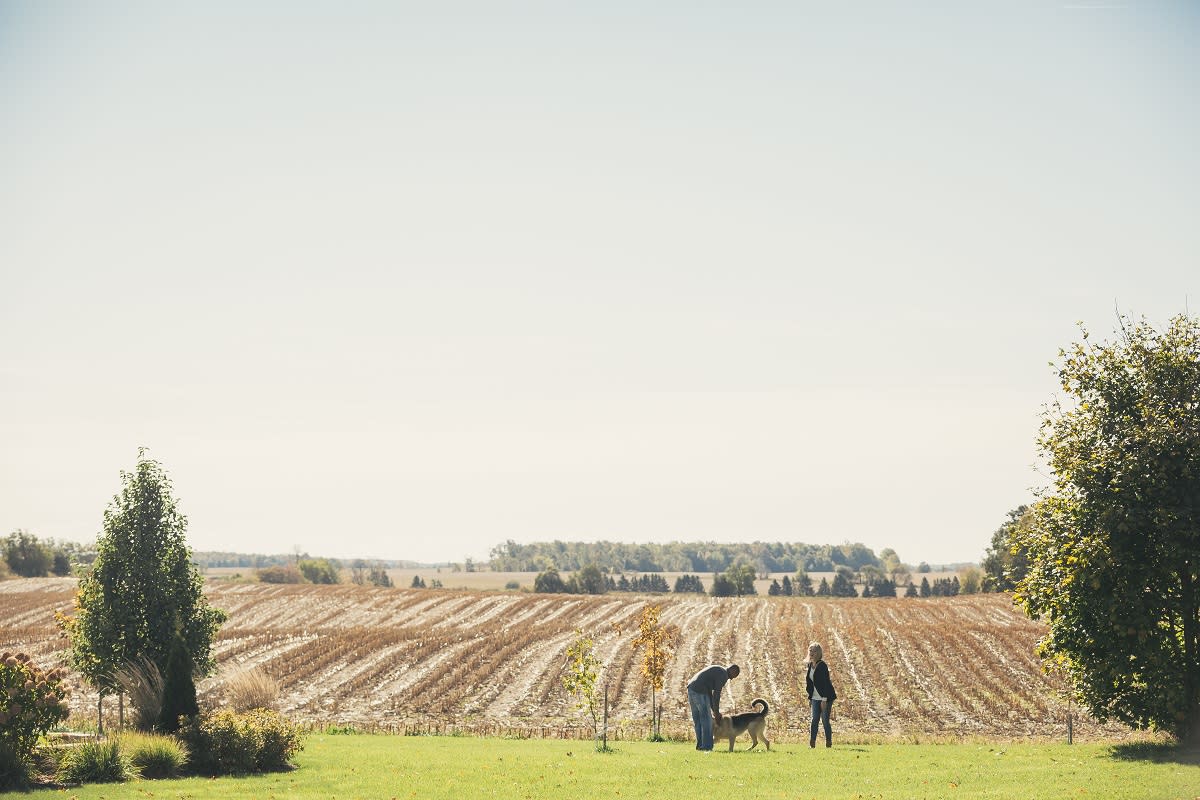 Gunn's Hill Artisan Cheese: Pull Over for Award-Winning Local Cheese