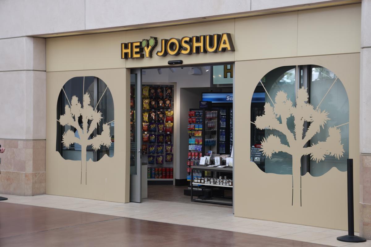 Top Reasons to Fly into Palm Springs International Airport