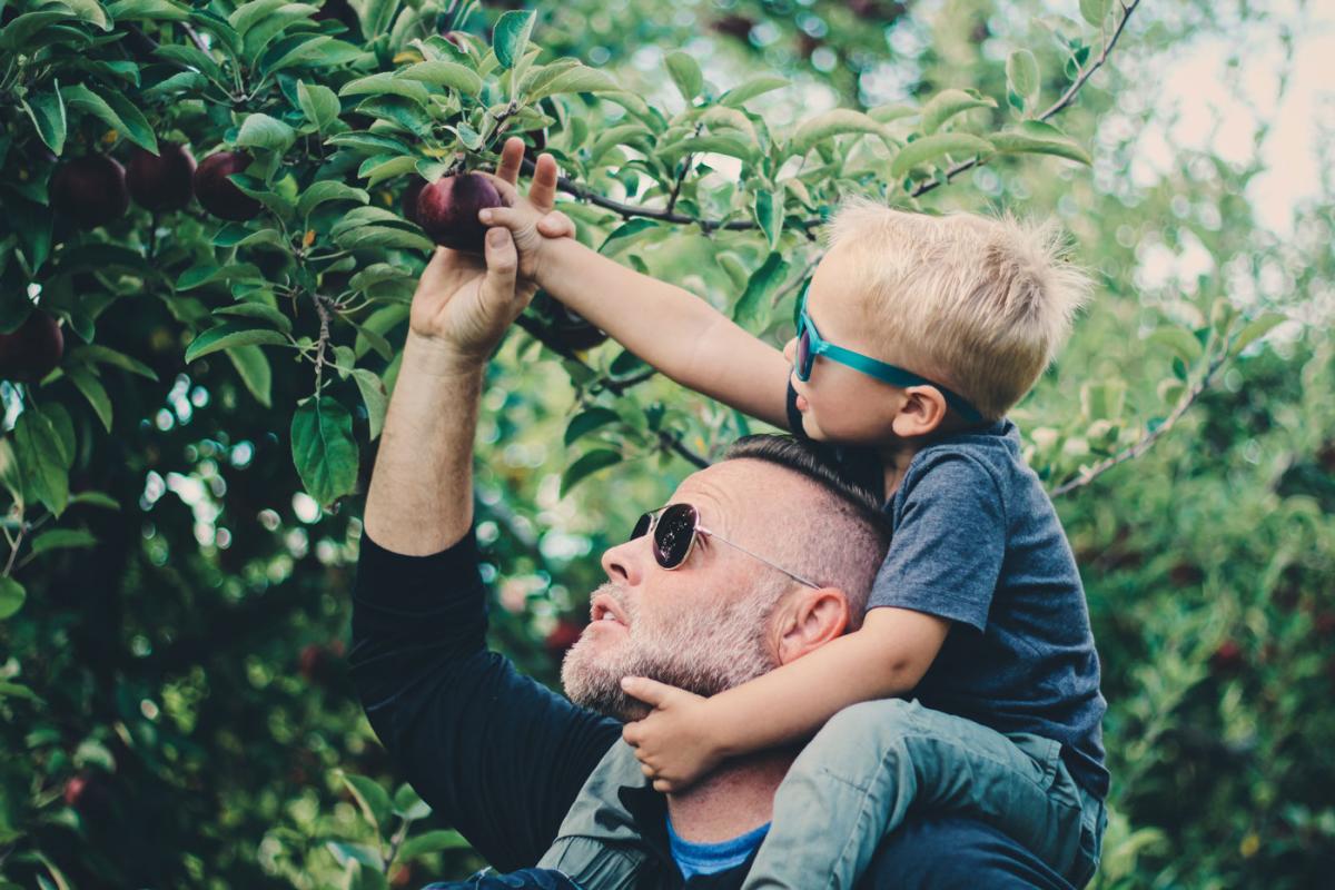 Pick Your Own Apple Orchards in PA