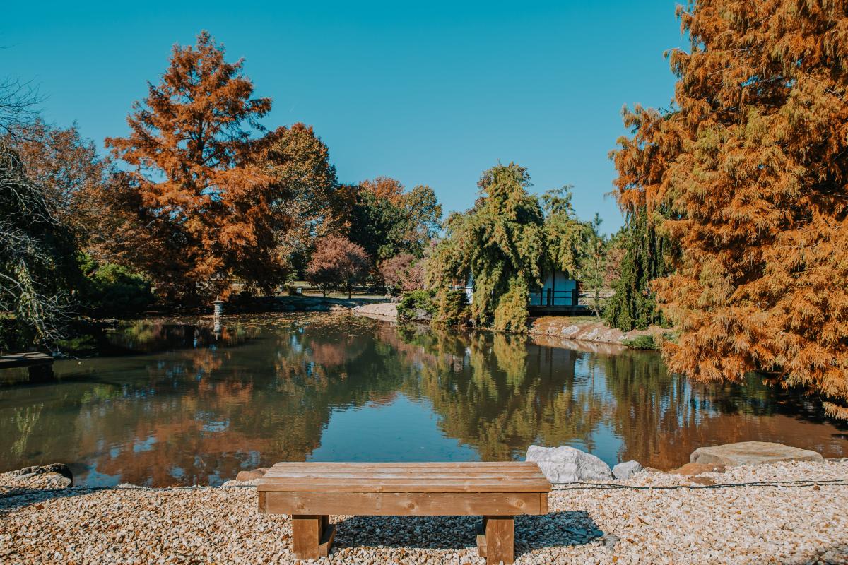 View Beautiful Fall Foliage At These 15+ Spots Around Springfield ...