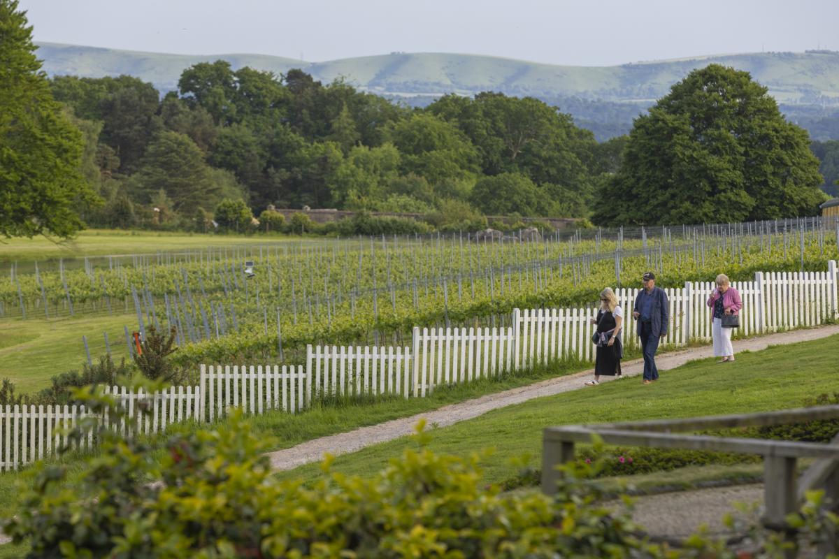 vineyard crowborough