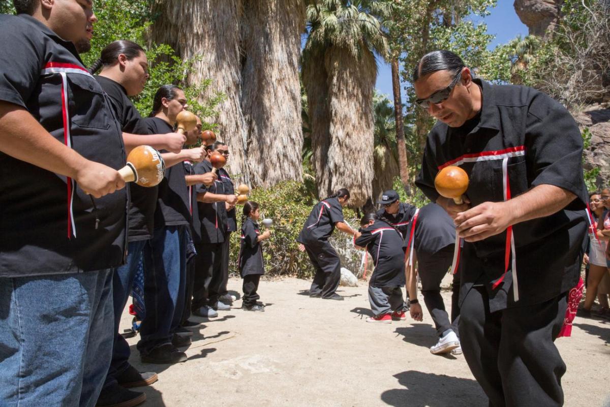Ultimate Guide to Exploring Native Palm Springs