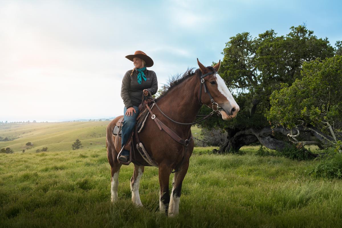 Discovering SLO CAL: A Guide for First-Time Visitors