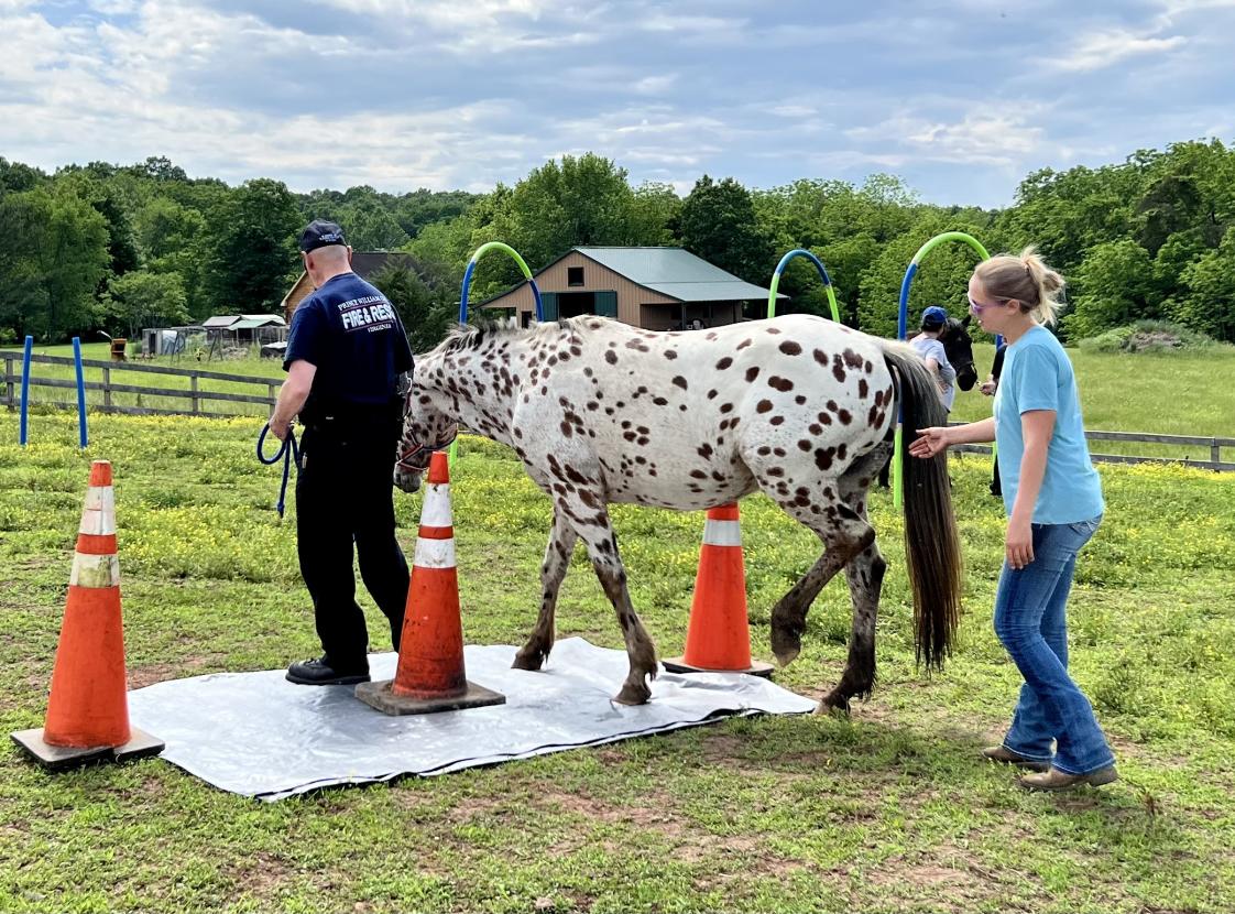 Equine Connection Center