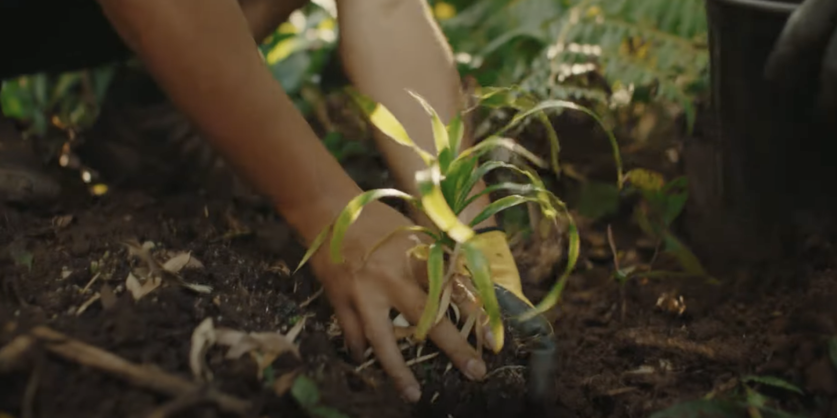 Hawaii Meetings, Conference, & Event Venues – Official Site